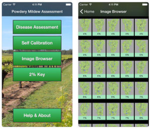 Smartphone apps give grapegrowers more choices - Winetitles
