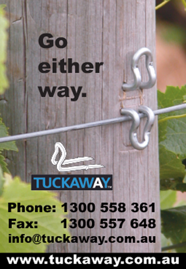 Tuckaway Engineering - Winetitles