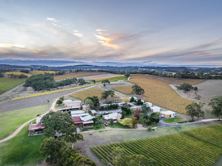 Pure Wine Co. takes national stride with Pepper Tree Wines and Longview ...