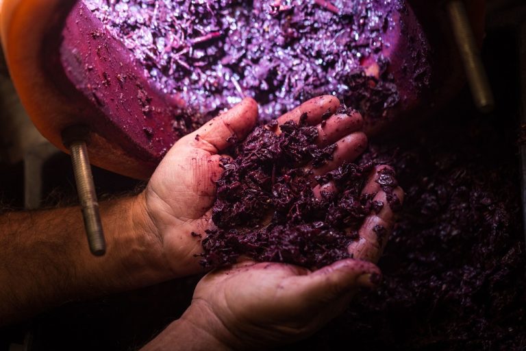 Australian manufacturer creating ingredients from agricultural waste ...