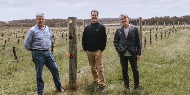 Wine clone trial to reveal benefits to Western Australian vignerons ...