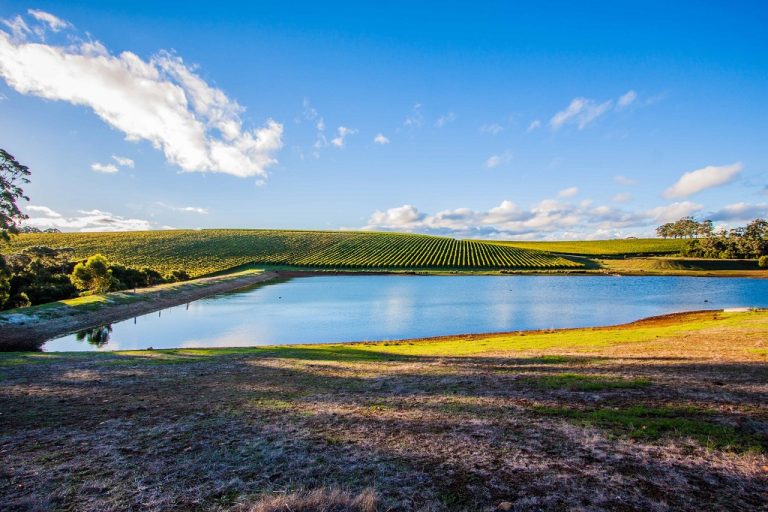 Howard Park secures a sparkling future with acquisition of the Forest ...