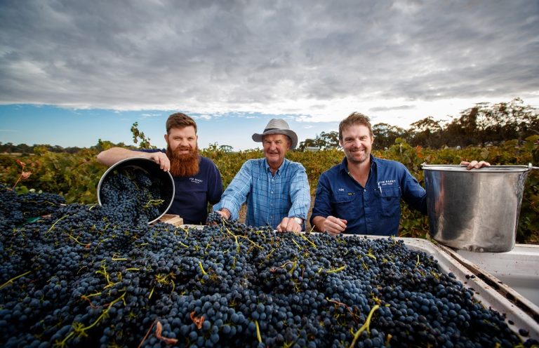 Jim Barry Wines celebrates 50th vintage at family’s winery site ...