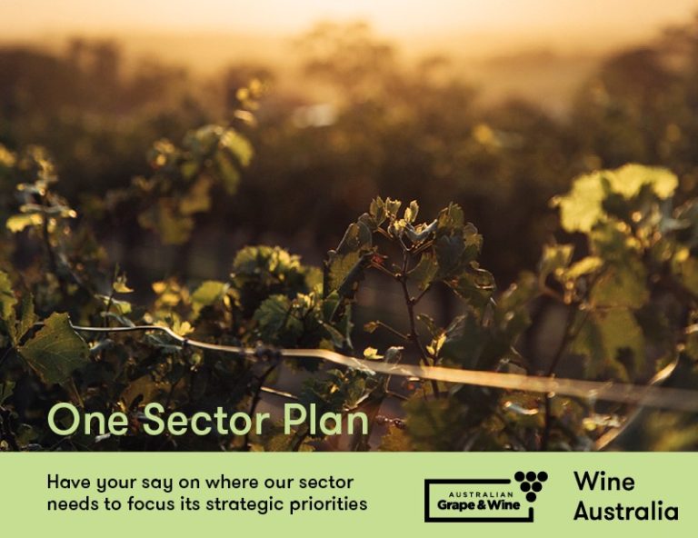 One Sector: A unifying plan for the Australian grape and wine community ...