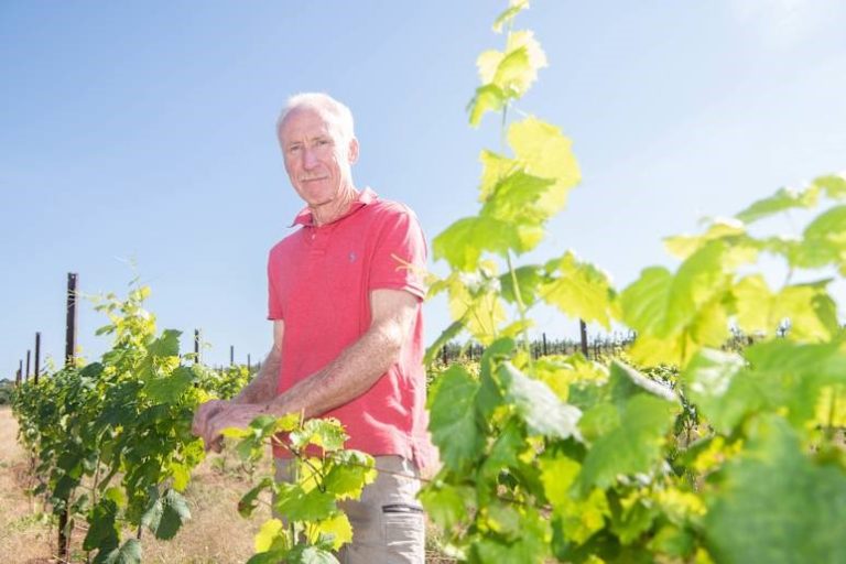 Beechworth vigneron grows grape varieties in Australia for the first ...