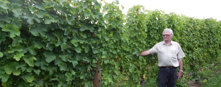 Vale Dr Richard Smart - Winetitles