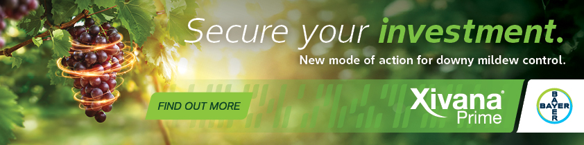 Vinarchy begins distribution of iconic wine brands in Australia and New ...