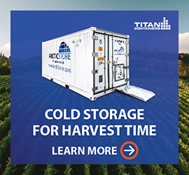 A new wine company is born: Pernod Ricard and Accolade assets combine ...